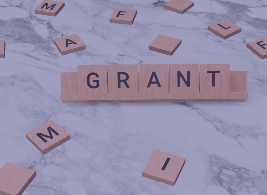 Streamline Grant Management workflow in D365 | UDS Solution
