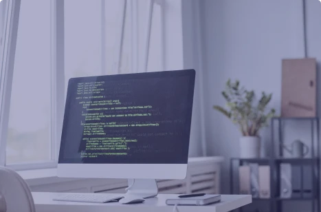 How to run the custom javascript code in Microsoft Dynamics 365 Portal